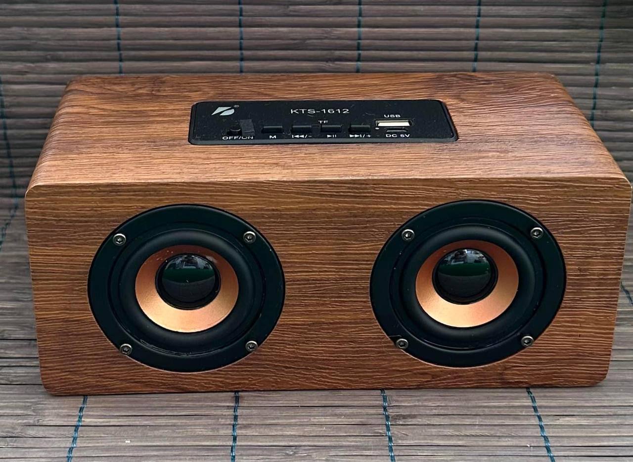 Караоке тонколона с Bluetooth KTS-1612 – onlinerabotilnica